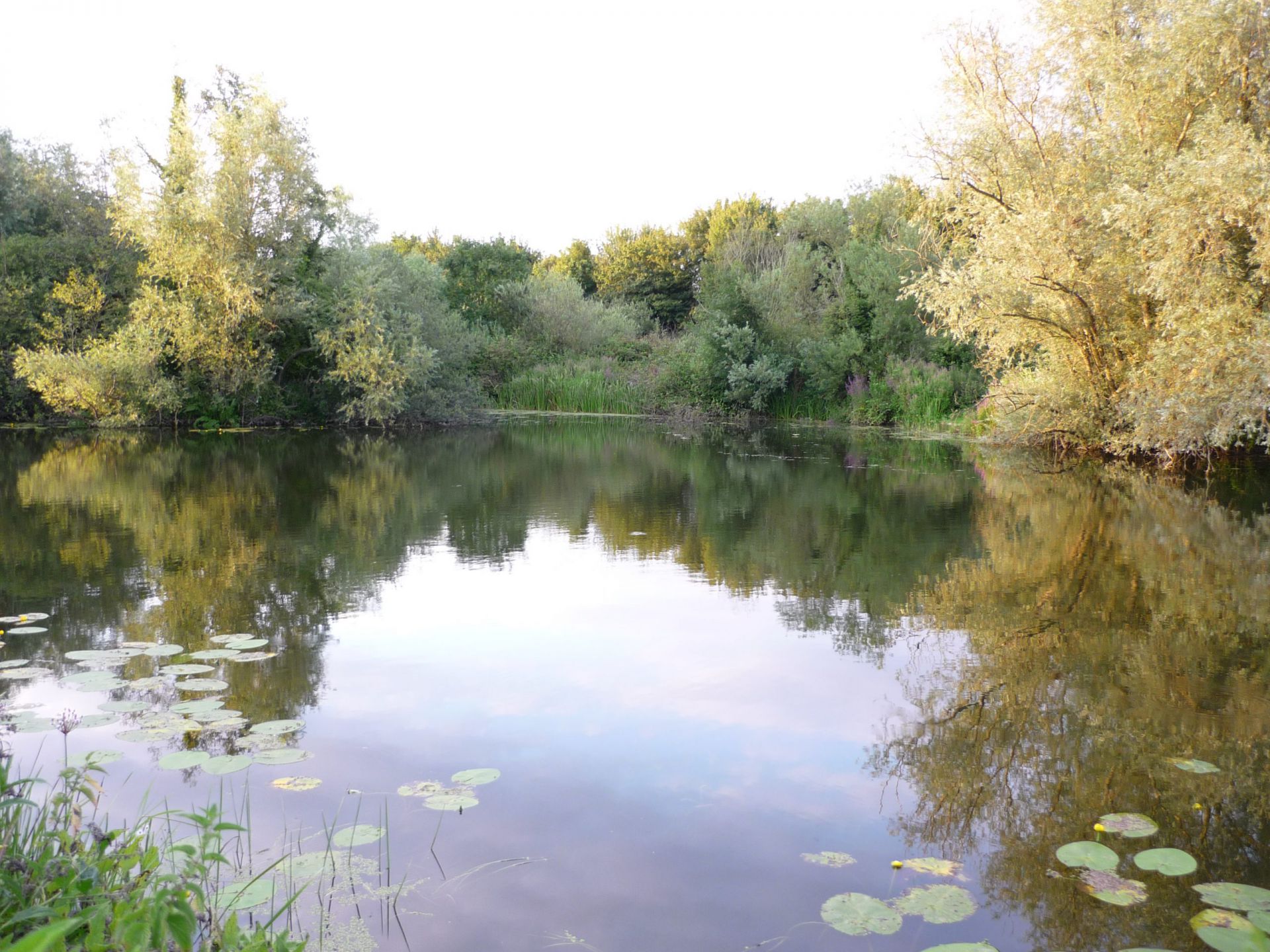 Hazel’s Great Blakenham Walk – Friday 21st July - Ipswich Outdoor Group