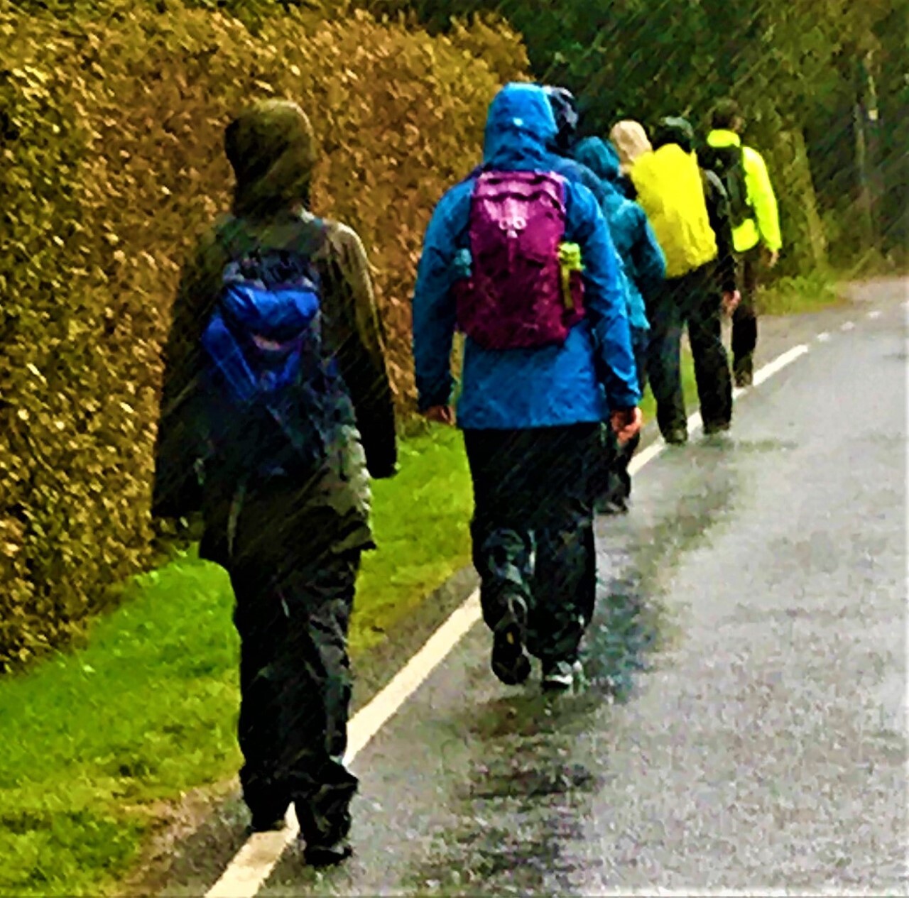 Ian’s Wrabness Walk, Essex - Sunday 31st October - Ipswich Outdoor Group