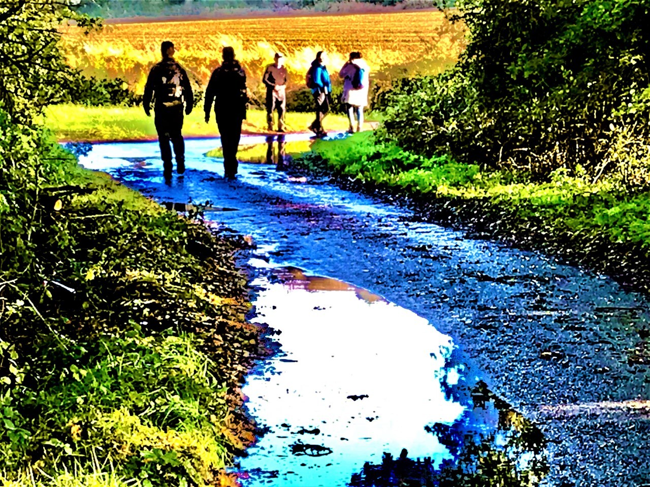 Ian’s Wrabness Walk, Essex - Sunday 31st October - Ipswich Outdoor Group