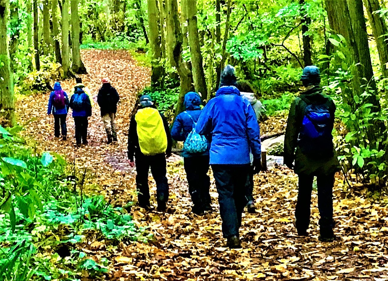 Ian’s Wrabness Walk, Essex - Sunday 31st October - Ipswich Outdoor Group