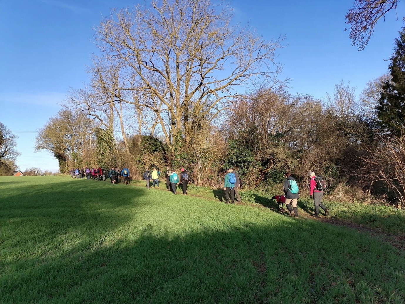 The first IOG walk of 2022! - Sunday, 2nd January - Ipswich Outdoor Group