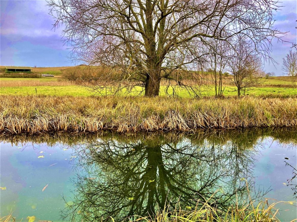 Deben Valley & Rendlesham Walk: Sunday 12th February - Ipswich Outdoor ...