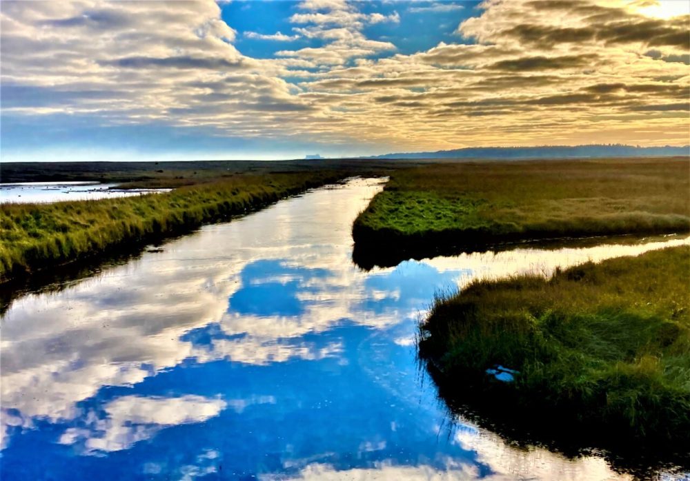 Dunwich Walk, Suffolk - Sunday, 22nd January - Ipswich Outdoor Group
